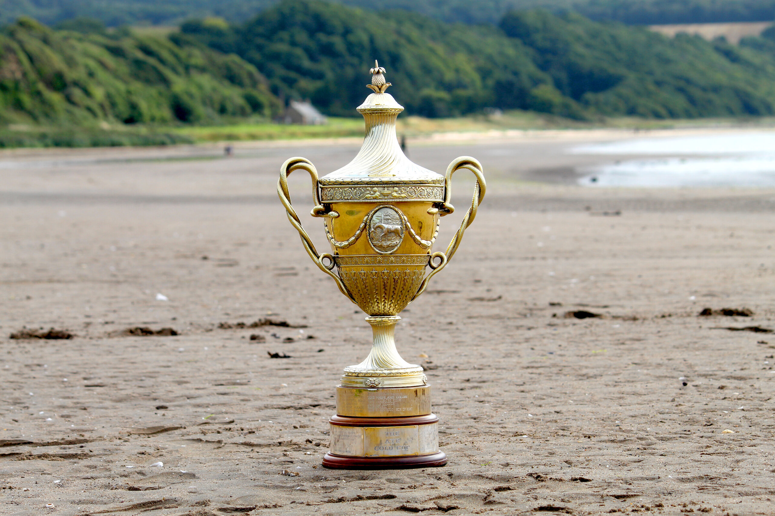 🏆 The Ladbrokes Ayr Gold Cup on Tour! - Ayr Racecourse - Scotland’s ...