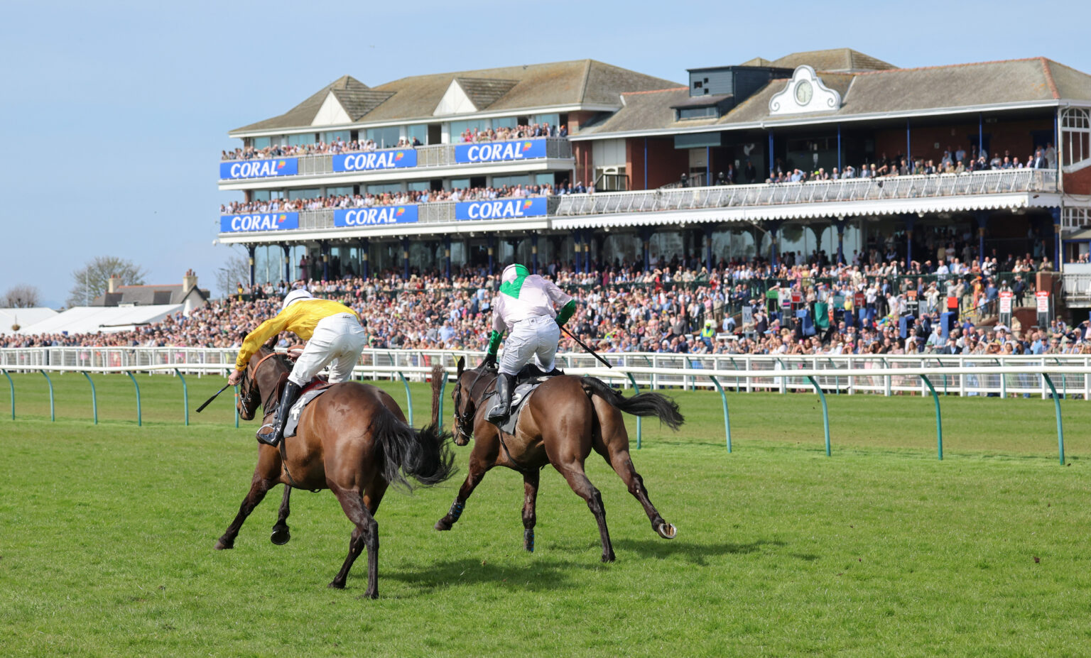 AYR FORM TO THE FORE AT CHELTENHAM FESTIVAL - Ayr Racecourse